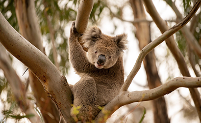 ALG Vacations® | Turning Vacation Dreams Into Lifelong Memories | ALG ...