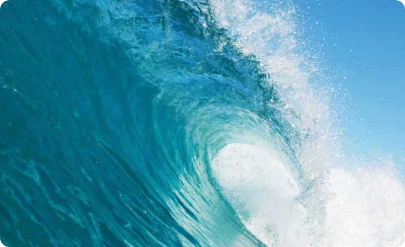 ALGV Gives You More | ALG Vacations