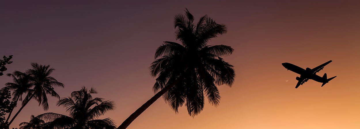 Exclusive Nonstop Vacation Flight Schedules and Information | ALG ...