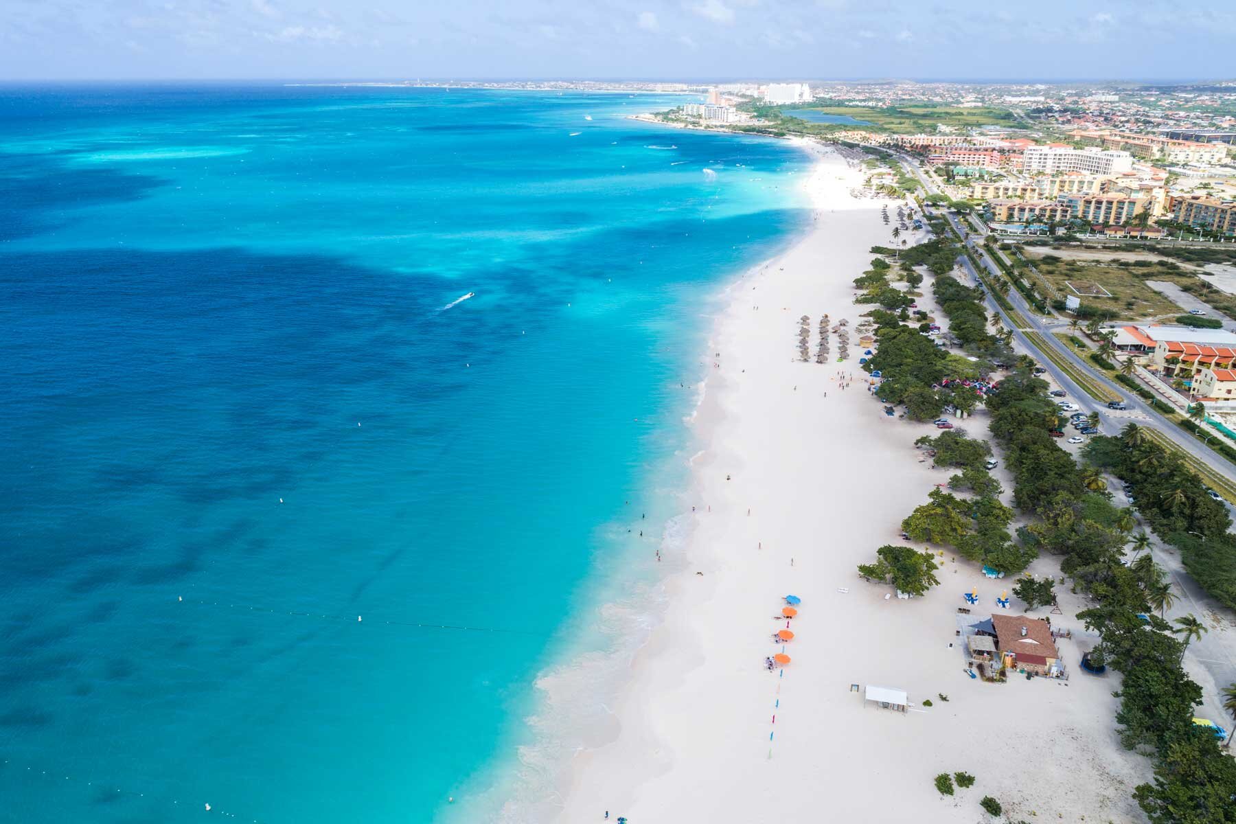Aruba: Wish You Were Here | ALG Vacations